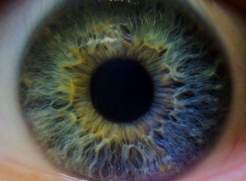 Ophthalmologist Michigan | Best Eye Doctor Detroit